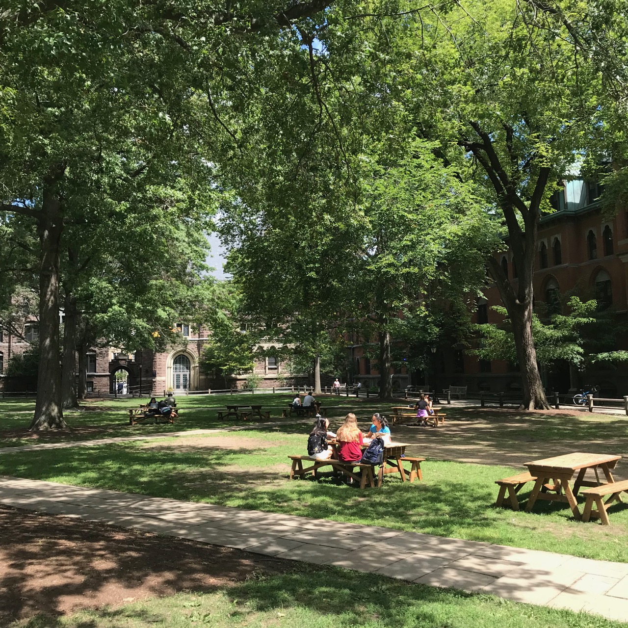 Notes on Camp Yale | Daily Snap | Yale Alumni Magazine