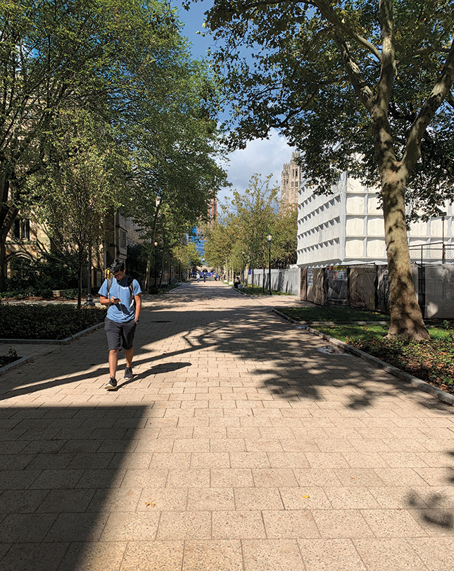 Yale students walk the walk | Last Look | Yale Alumni Magazine