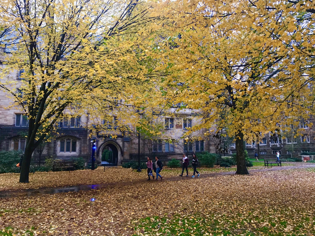 Autumn shower | Daily Snap | Yale Alumni Magazine