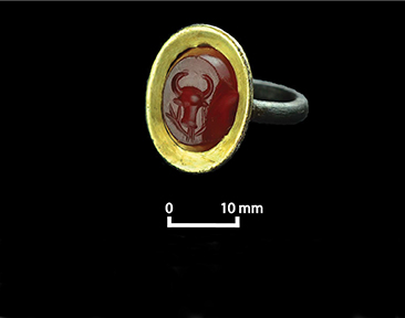 Noted | Findings | Yale Alumni Magazine