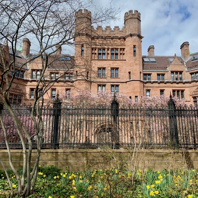 Spring on Chapel Street | Daily Snap | Yale Alumni Magazine