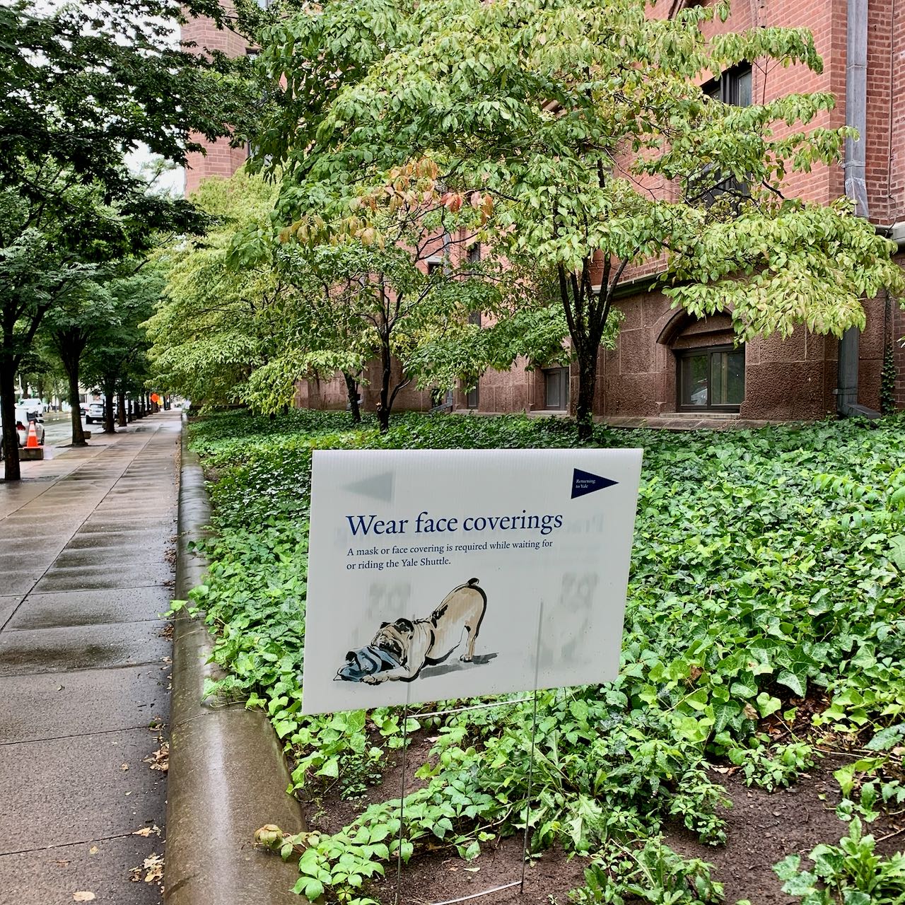 Role model | Daily Snap | Yale Alumni Magazine