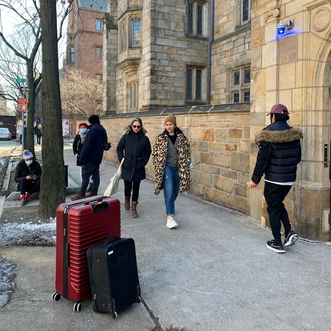 Repopulated | Daily Snap | Yale Alumni Magazine