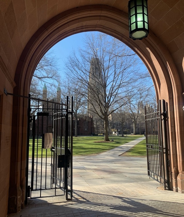 A welcome sight | Daily Snap | Yale Alumni Magazine