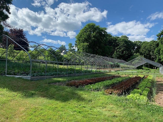 Growth time | Daily Snap | Yale Alumni Magazine