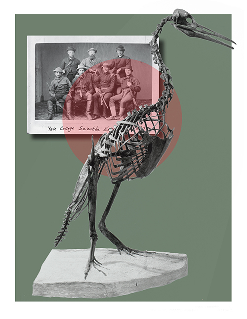 Rare as hens' teeth | Arts & Culture | Yale Alumni Magazine