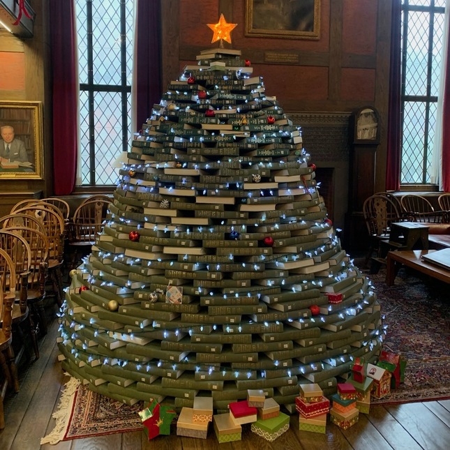 Tree time | Daily Snap | Yale Alumni Magazine