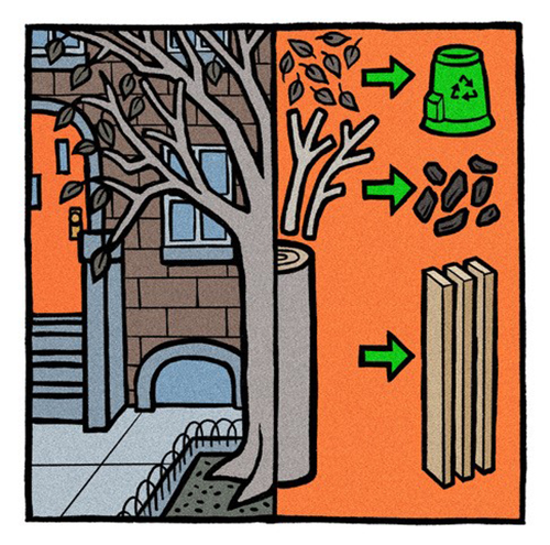 Not going to waste | Findings | Yale Alumni Magazine