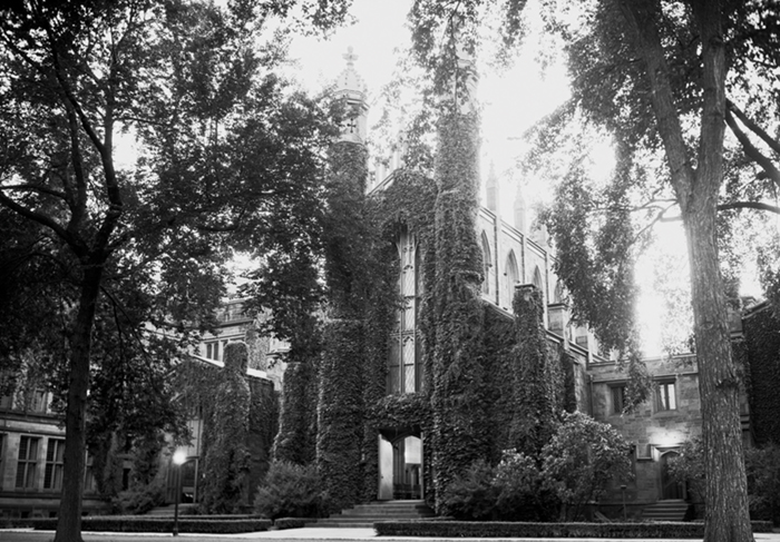 A vine mess | Old Yale | Yale Alumni Magazine