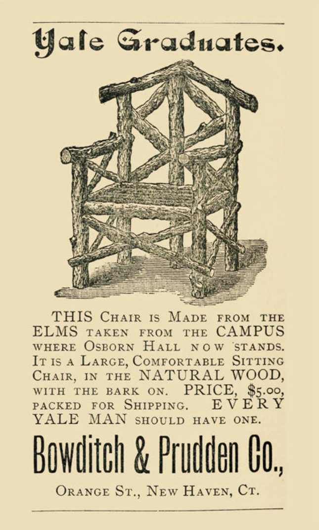 Throwback Thursday: tree sitting | Daily Snap | Yale Alumni Magazine