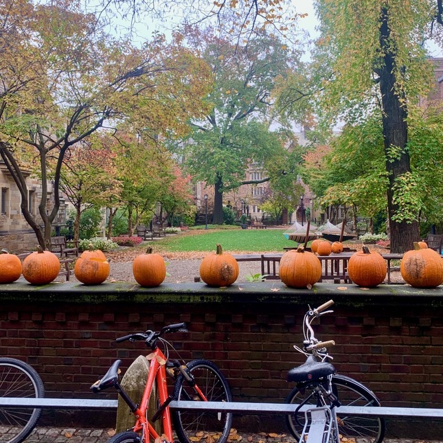 Halloween lineup | Daily Snap | Yale Alumni Magazine