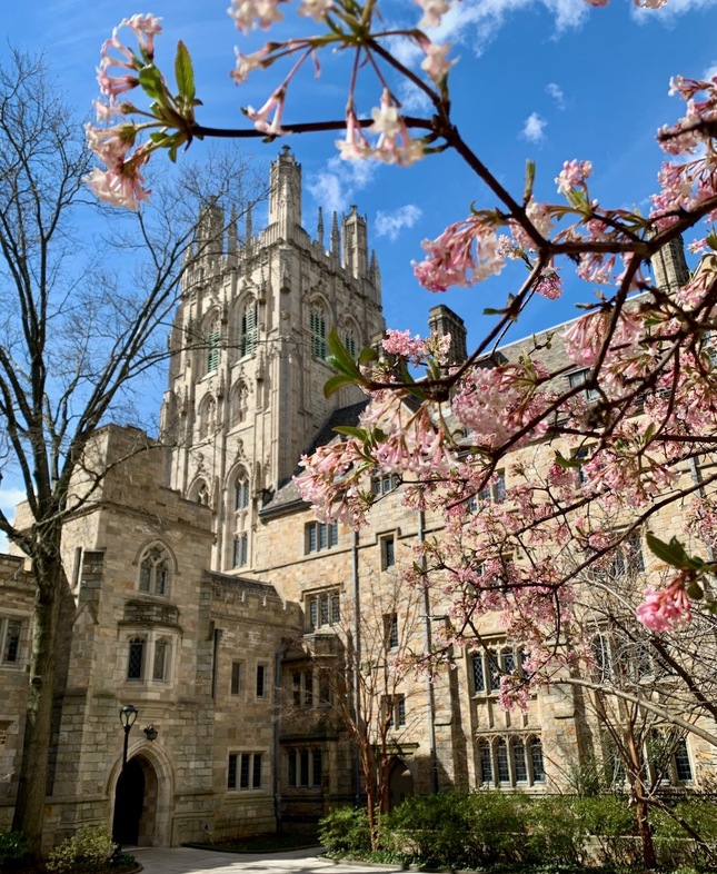 Getting a jump on spring | Daily Snap | Yale Alumni Magazine