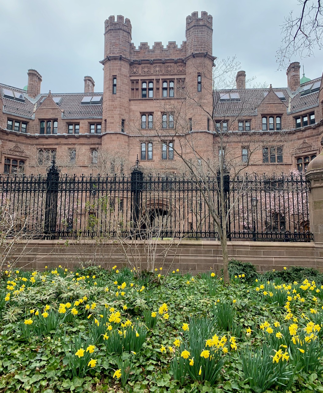 Still chilly | Daily Snap | Yale Alumni Magazine