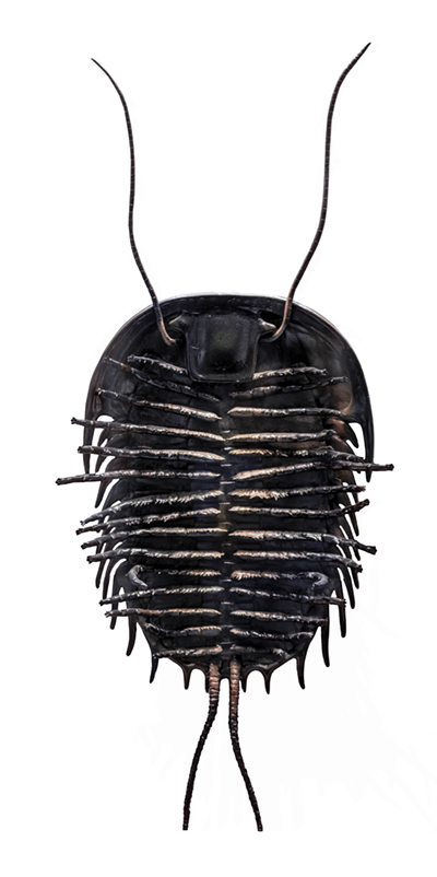 The ancient past: new and improved | Features | Yale Alumni Magazine