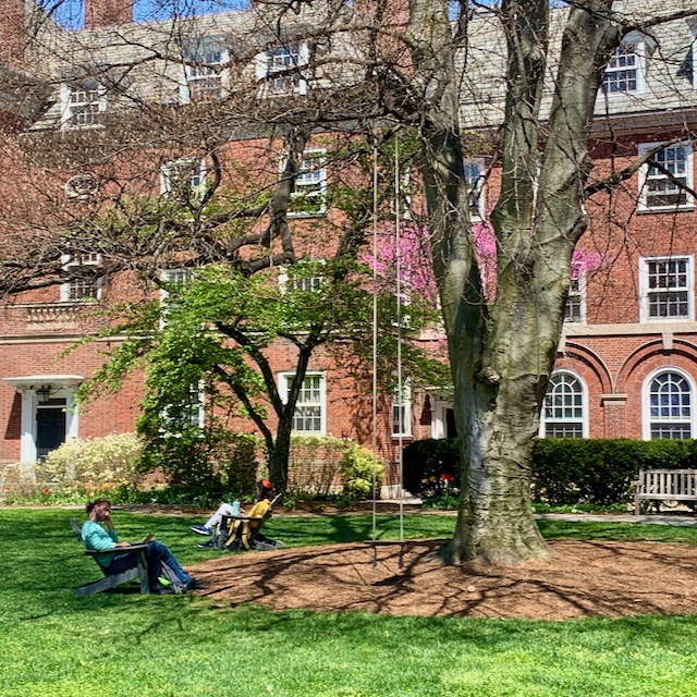 Spring scholars | Daily Snap | Yale Alumni Magazine