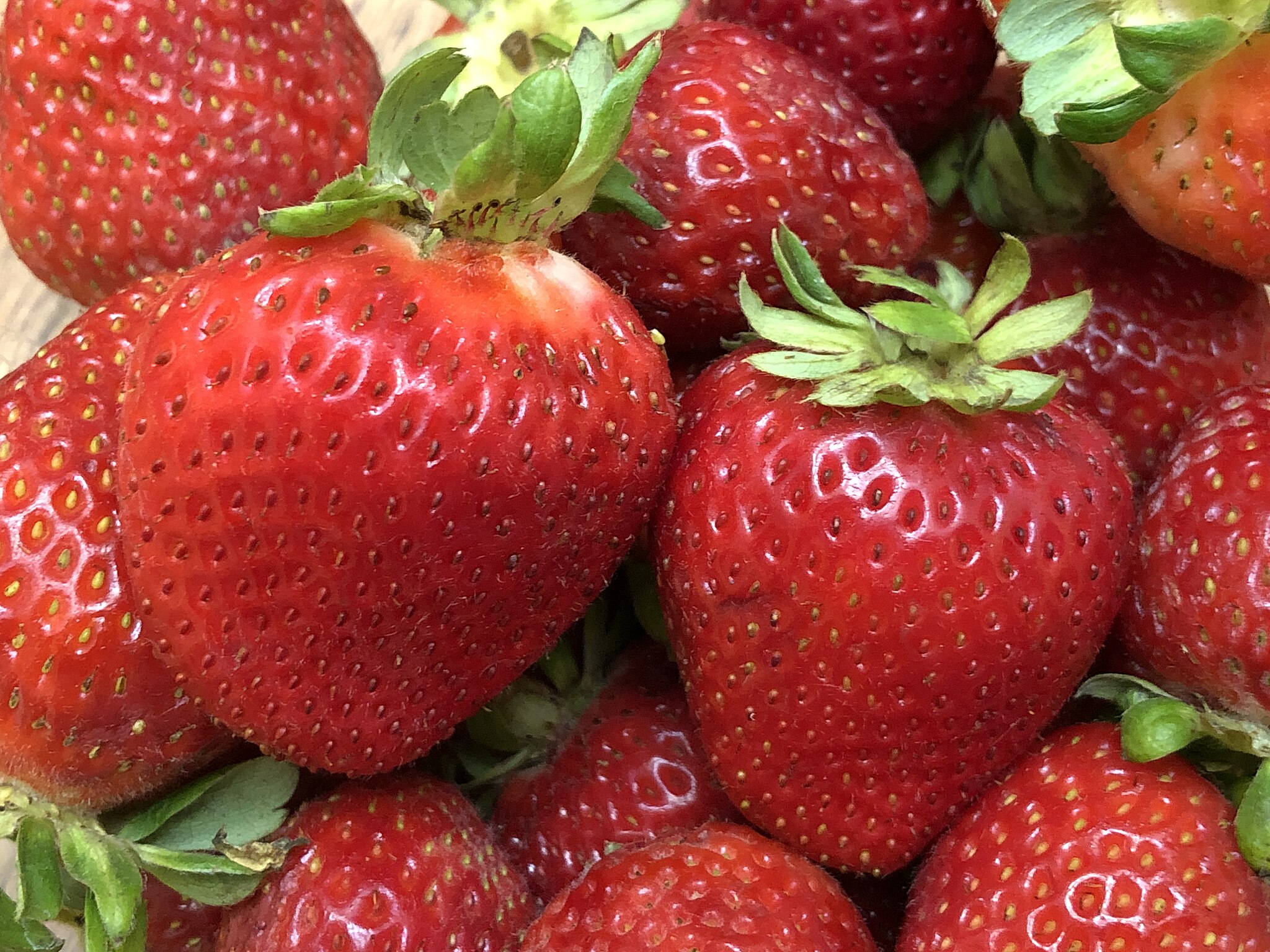 Yale strawberry shortcake | Web Extra | Yale Alumni Magazine