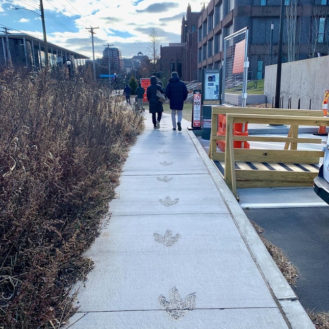 Walking in their footsteps | Daily Snap | Yale Alumni Magazine
