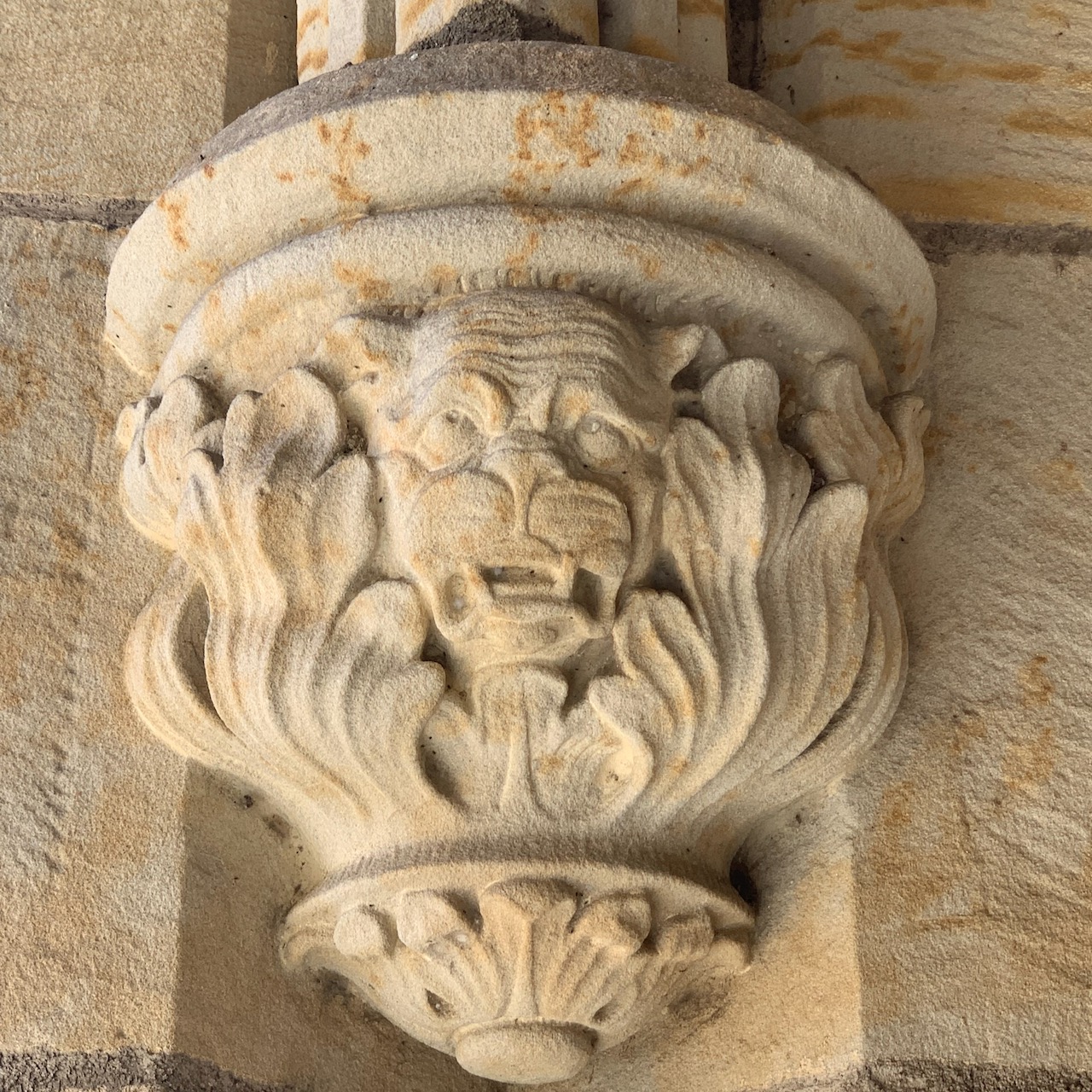Mystery Monday: bow wow wow! | Daily Snap | Yale Alumni Magazine