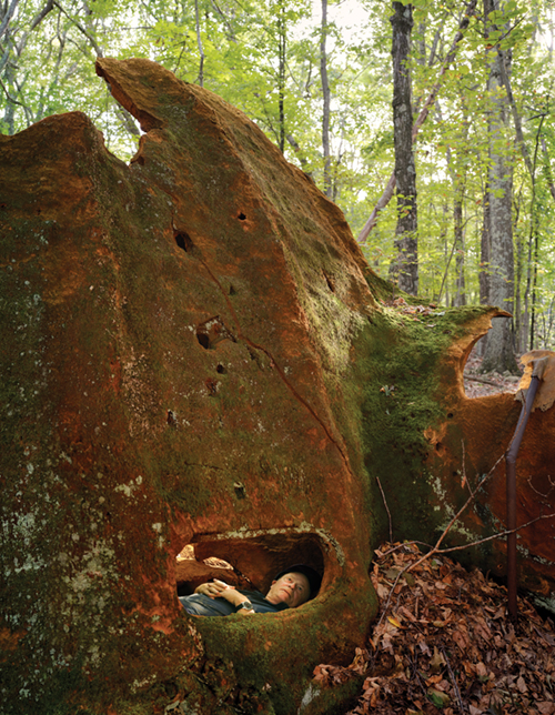 In the wild | Features | Yale Alumni Magazine