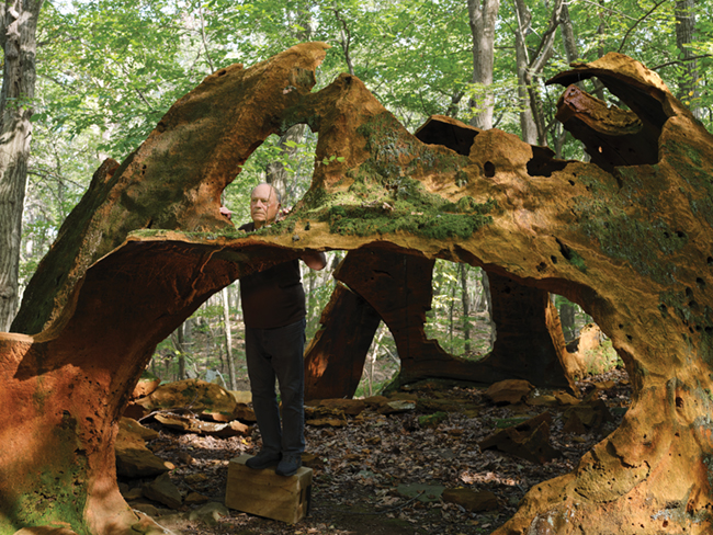 In the wild | Features | Yale Alumni Magazine