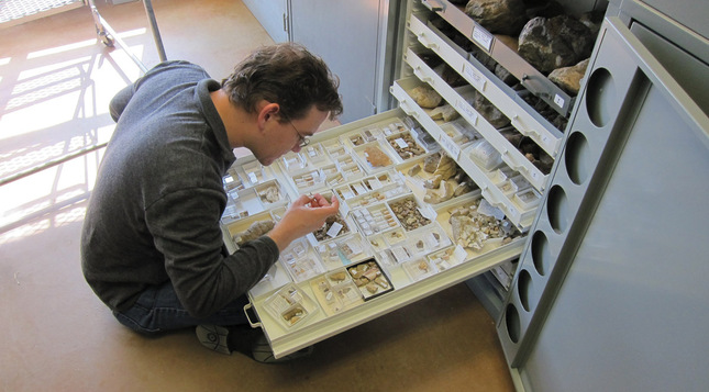Cold case: dinosaur edition | Features | Yale Alumni Magazine