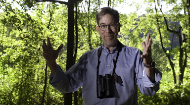 The bird-filled world of Richard Prum | Features | Yale Alumni Magazine