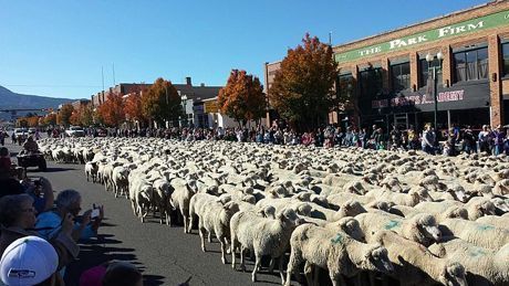 Us vs. them: as simple as ABC? | This just in | Yale Alumni Magazine