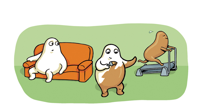 White fat, brown fat | Findings | Yale Alumni Magazine