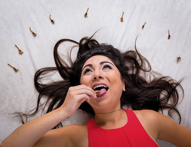 Aly Moore: all the bugs you can eat | Features | Yale Alumni Magazine