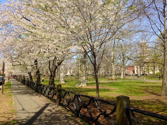 Five places in New Haven: Wooster Square | Daily Snap | Yale Alumni ...